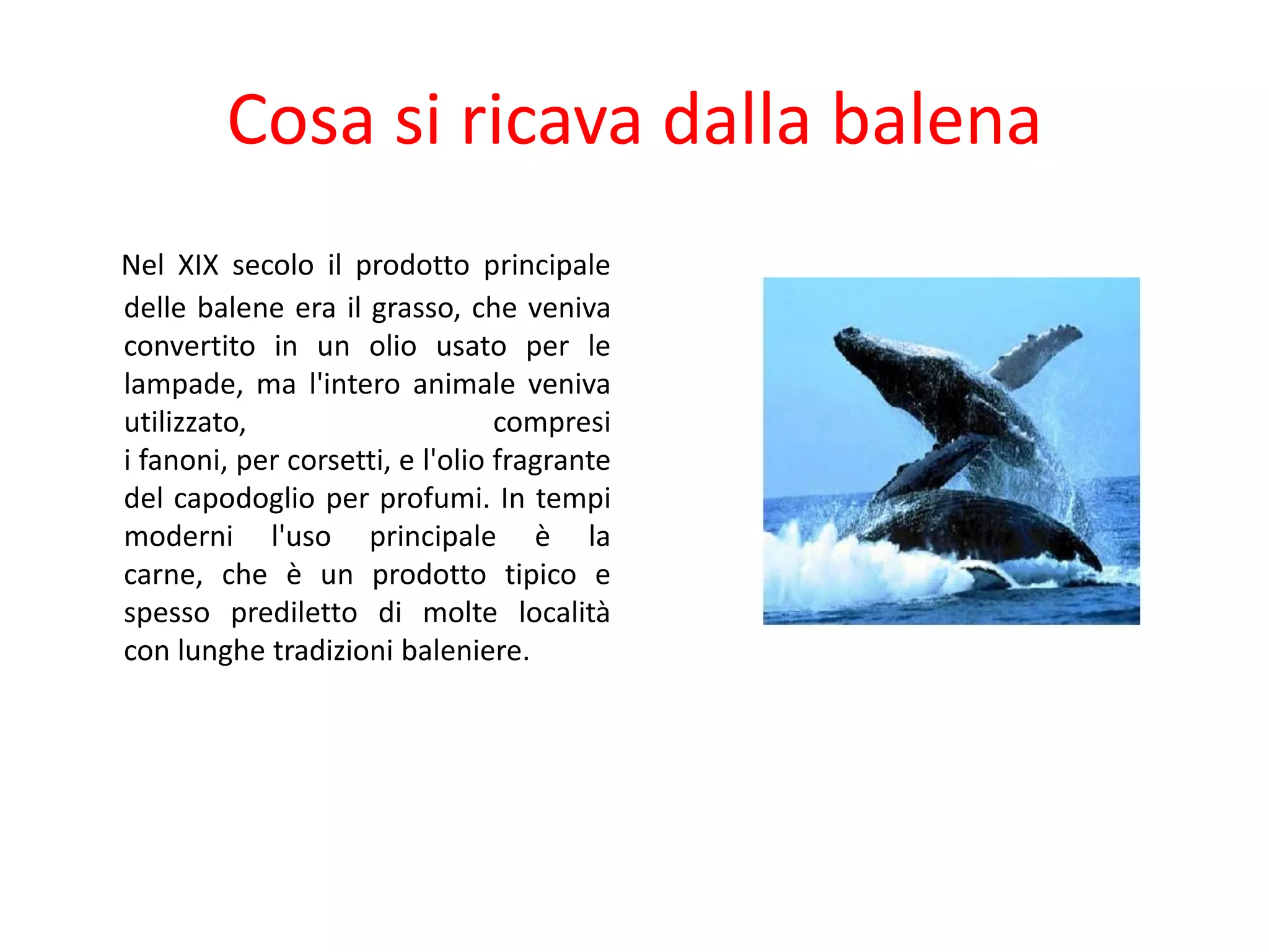 La caccia alle balene | PPTX