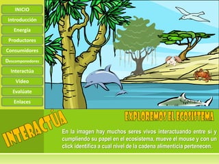 La cadena alimenticia | PPTX