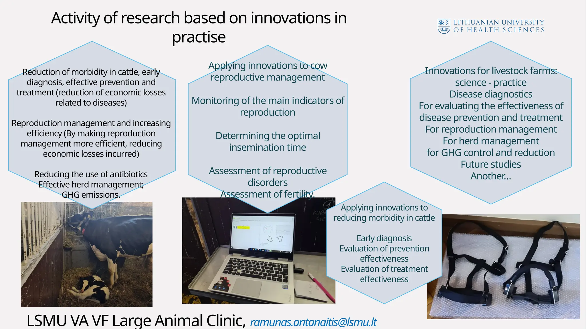 Large animal clinic research area and aims | PPT