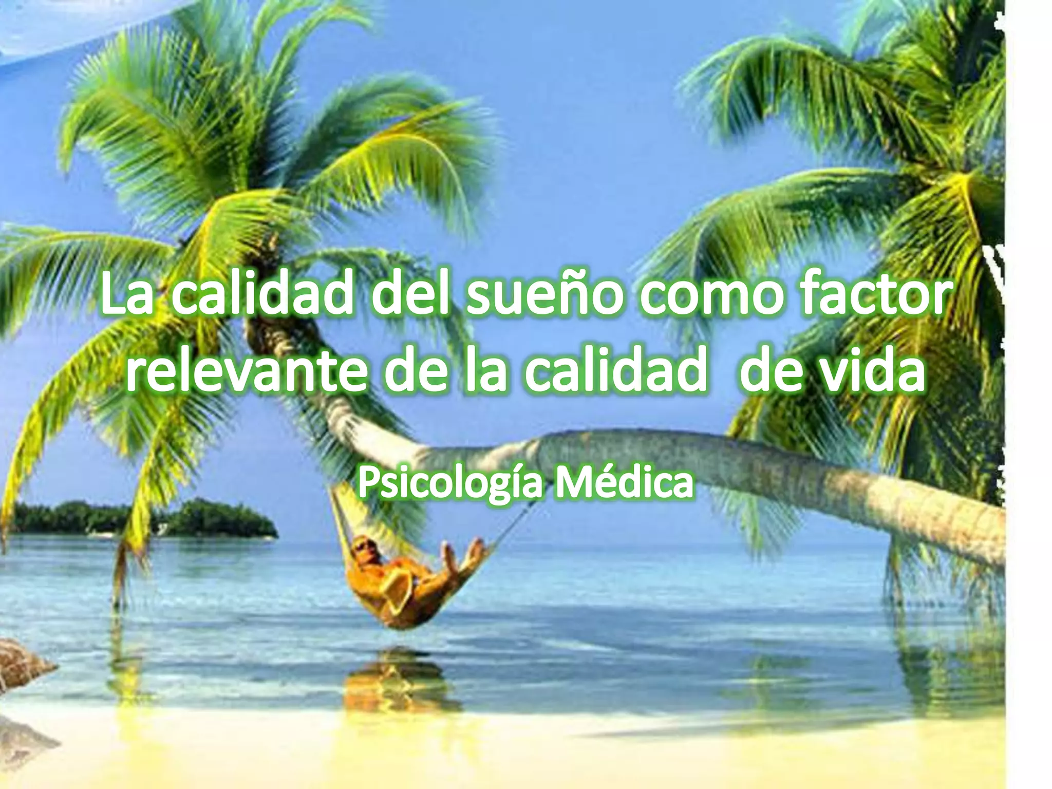 Calidad Del Sueño Y La Neurociencia – LZRNN