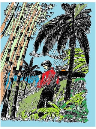 La CancióN Verde LáMinas A Color | PPT