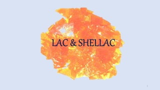 LACANDSHELLAC.pptx | Chemistry | Science