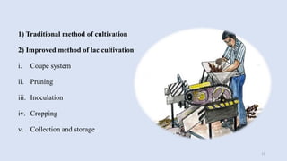 LACANDSHELLAC.pptx | Chemistry | Science