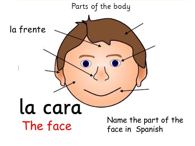 La cara