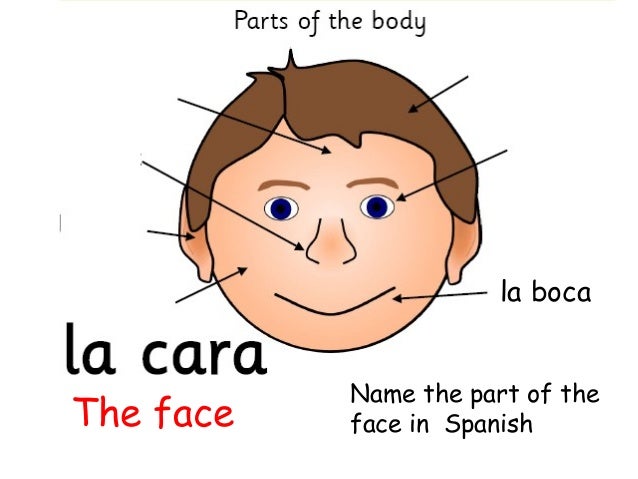 La cara