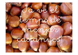 La Castanyada Infantil | PDF
