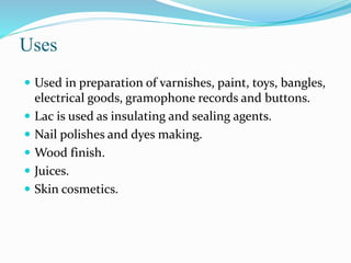 Lac cultivation | PPTX