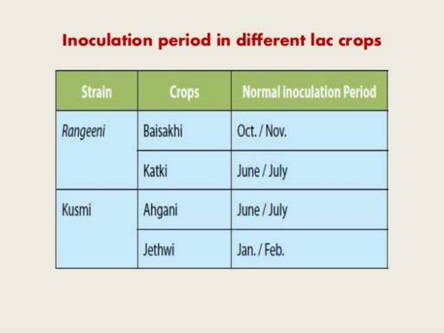 Lac cultivation | PPTX | Agriculture | Industries