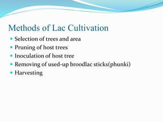 Lac cultivation | PPT