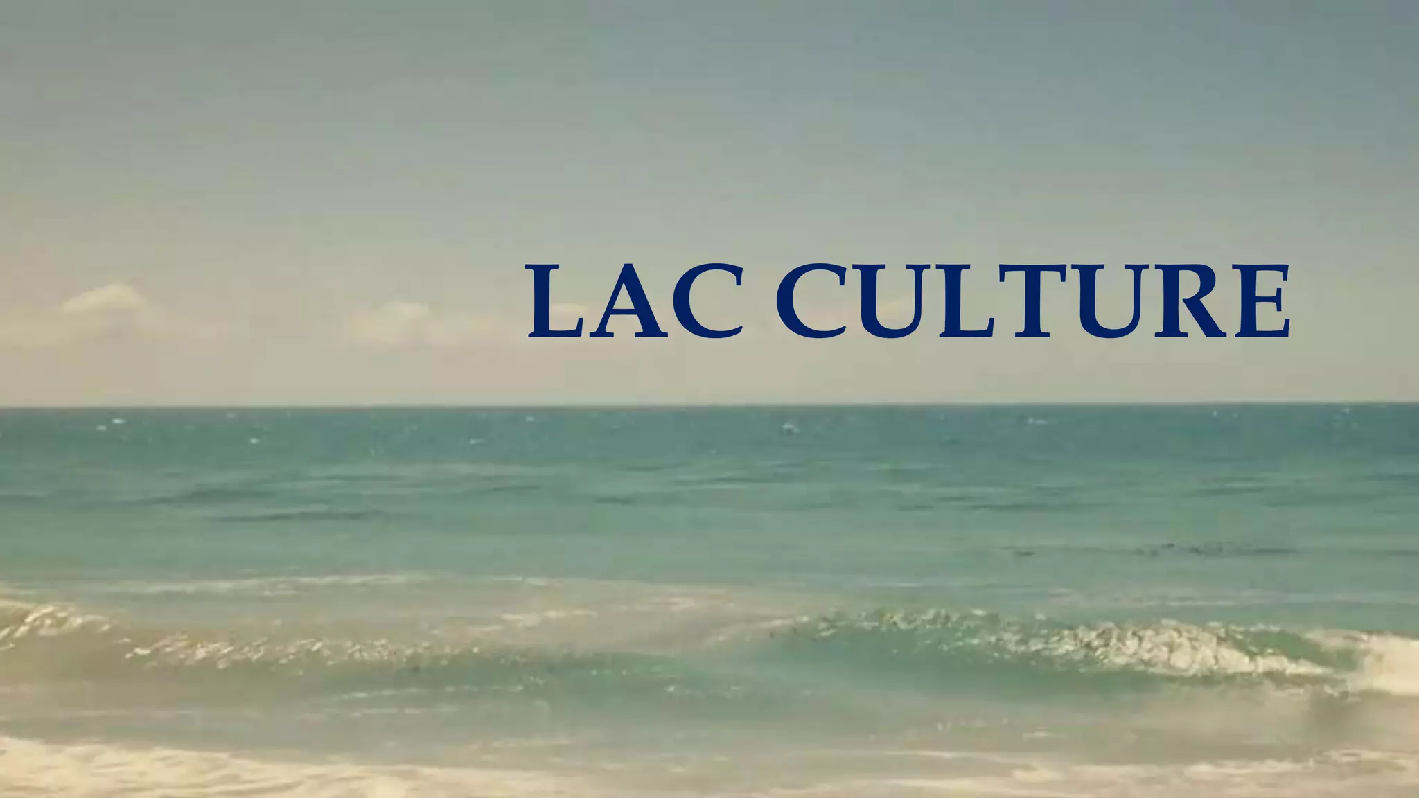 Lac culture | PPTX