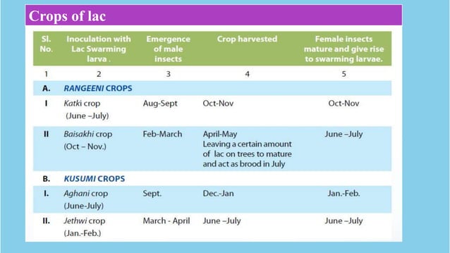 Lac culture | PPTX | Agriculture | Industries