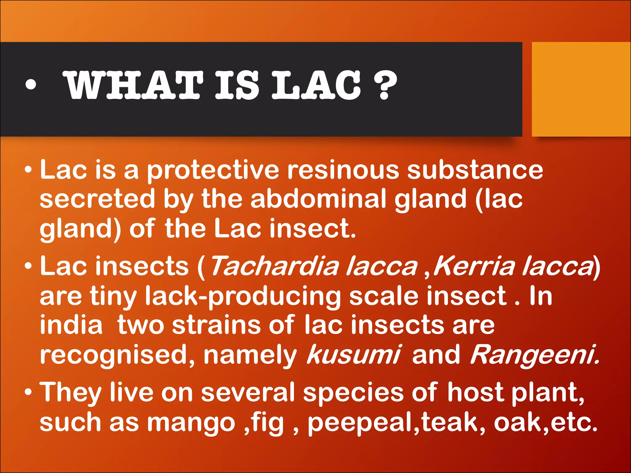 LAC CULTURE | PDF | Candle and Soap Making | Arts and Crafts