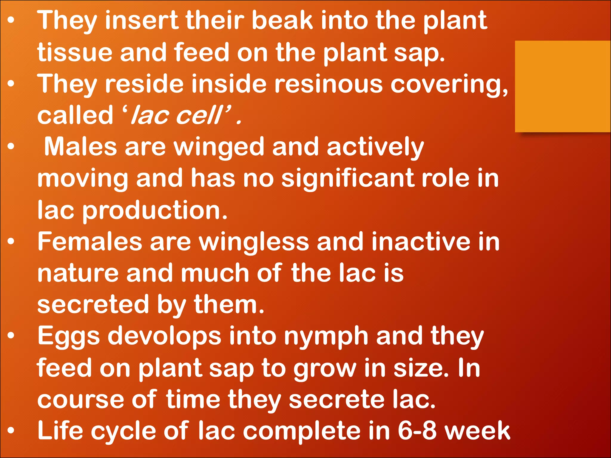 LAC CULTURE | PDF | Candle and Soap Making | Arts and Crafts