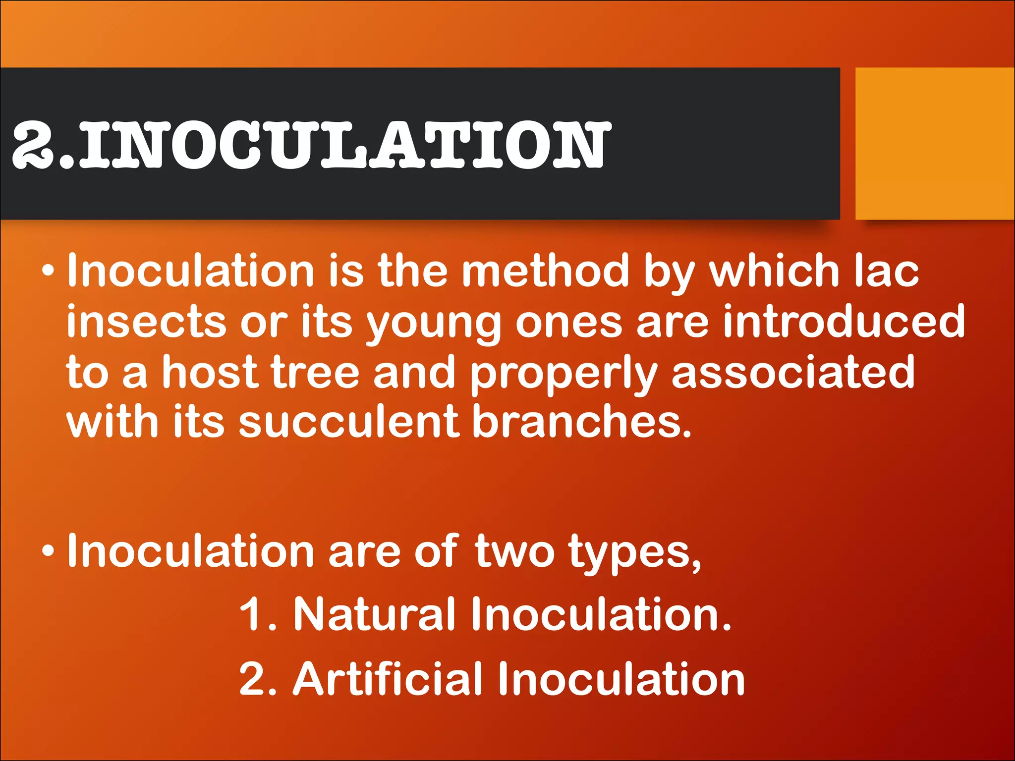 LAC CULTURE | PDF | Candle and Soap Making | Arts and Crafts
