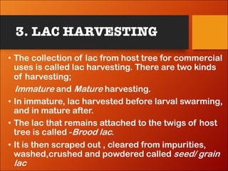 LAC CULTURE | PDF | Candle and Soap Making | Arts and Crafts