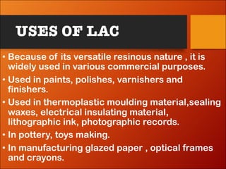 LAC CULTURE | PDF | Candle and Soap Making | Arts and Crafts