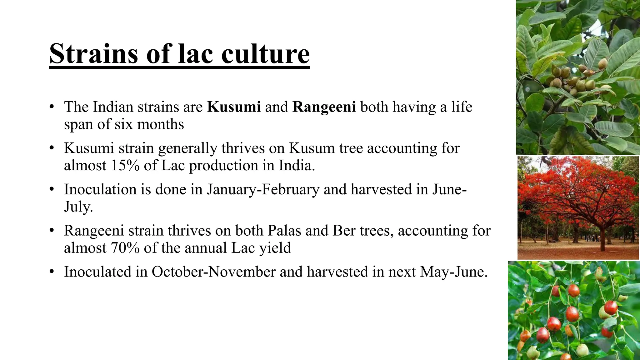Lac culture entomology agriculture exam portion | PDF