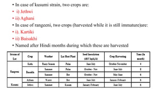 Lac culture entomology agriculture exam portion | PDF