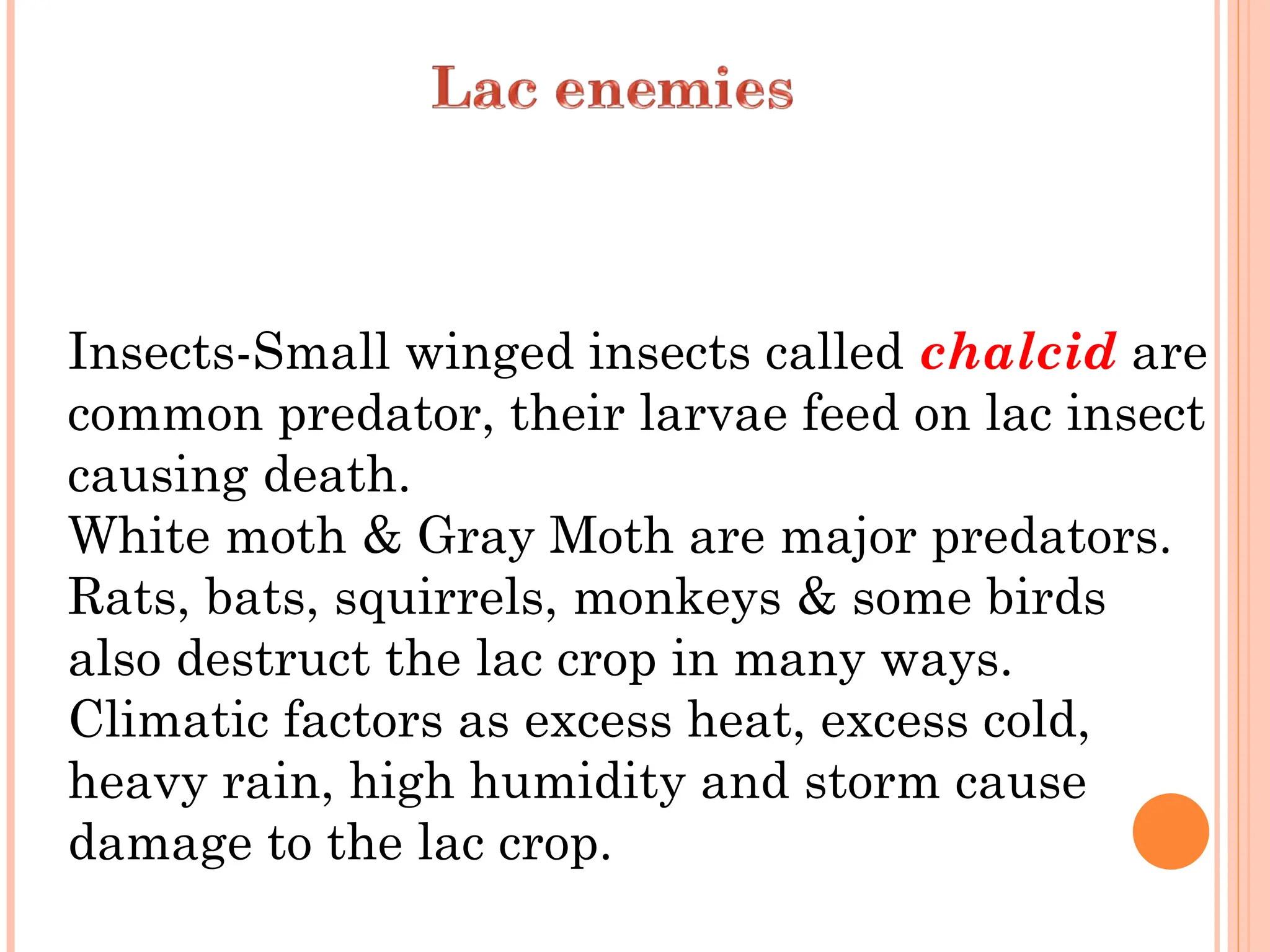 lac culture-cultivation 12454578787925ppt | PPT