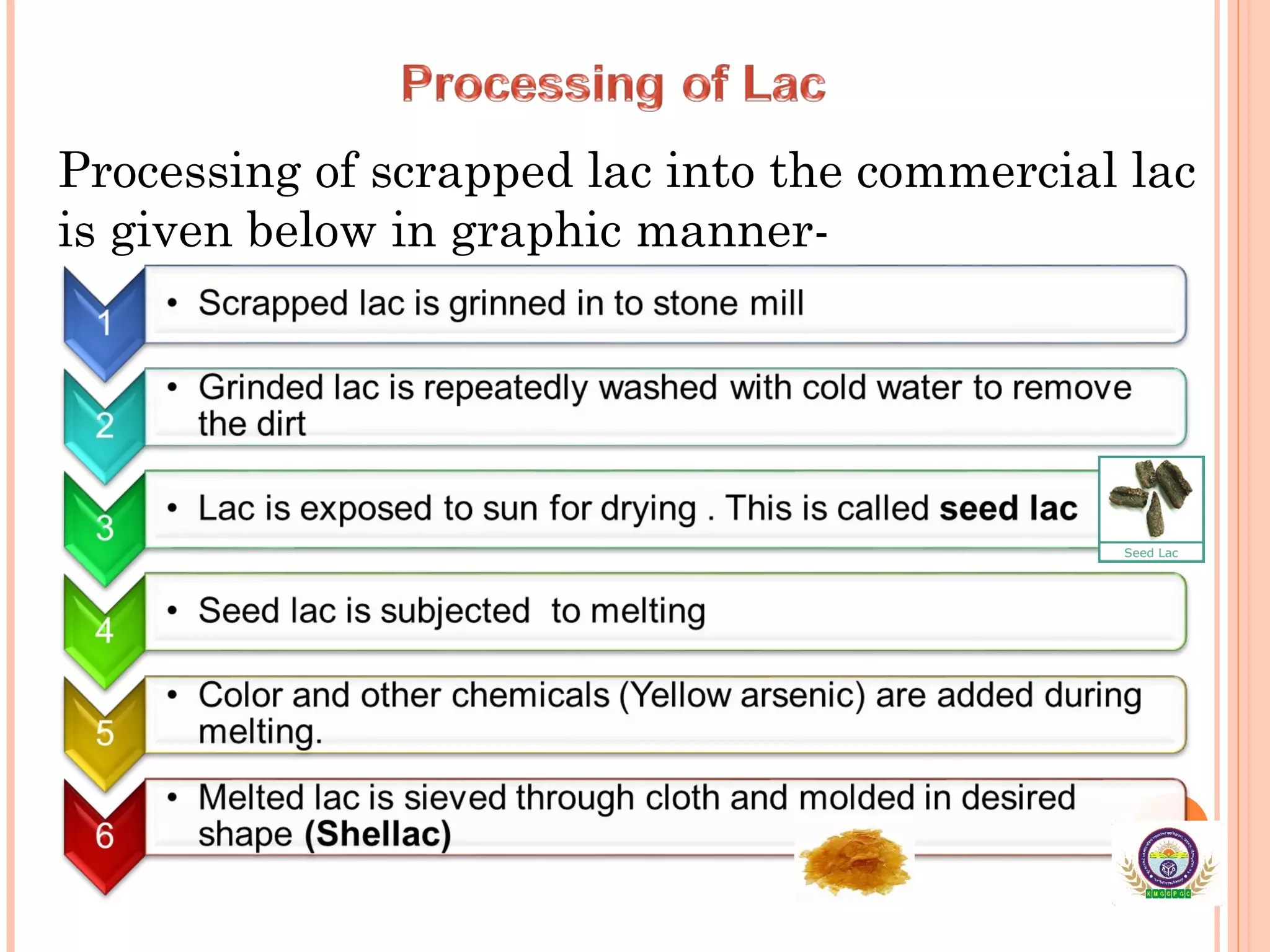 Lac culture and Cultivation | PPT