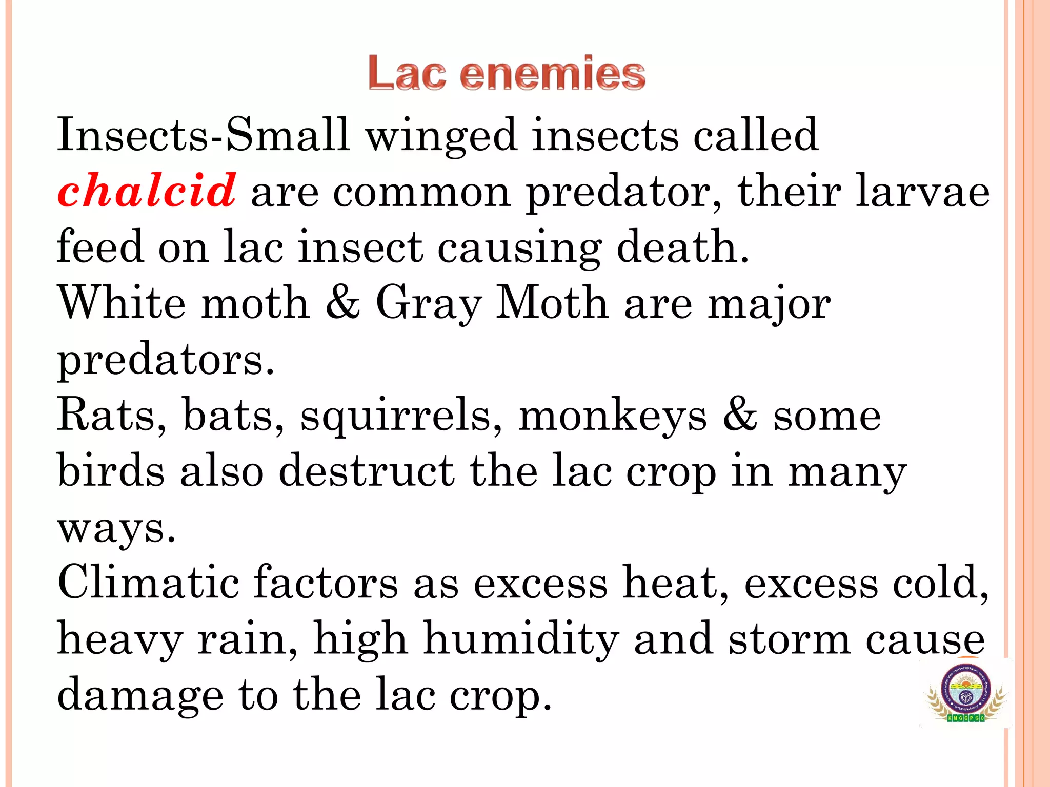 Lac culture and Cultivation | PPT