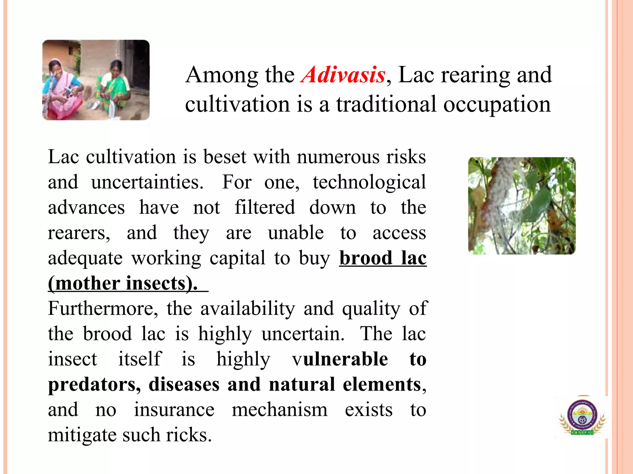 Lac culture and Cultivation | PPT