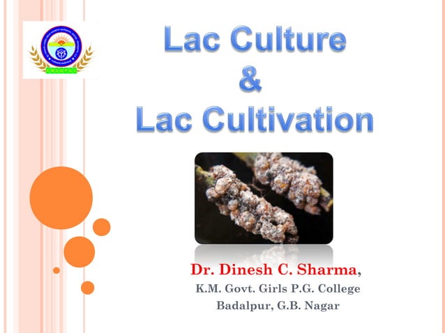 Lac culture and Cultivation | PPT
