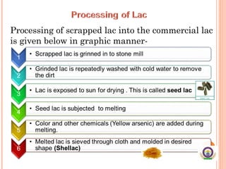 Lac culture and Cultivation | PPT