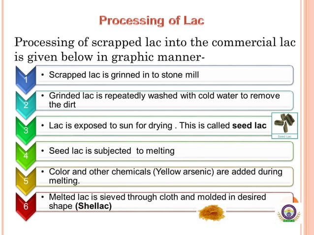 Lac culture and Cultivation | PPT
