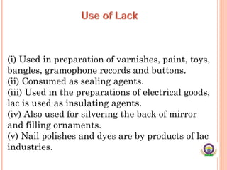 Lac culture and Cultivation | PPT