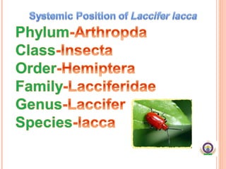 Lac culture and Cultivation | PPT