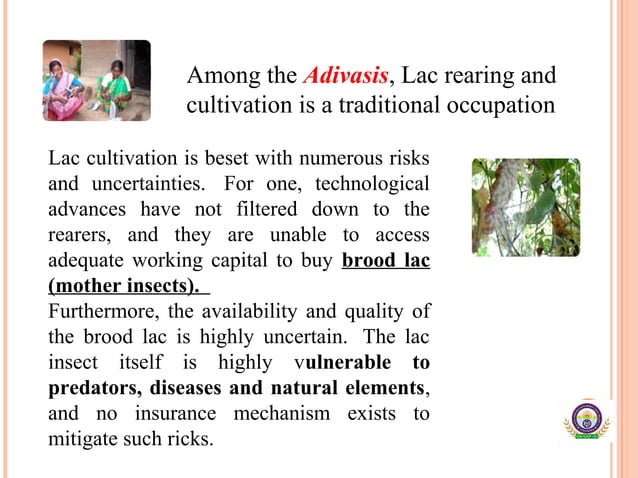 Lac culture and Cultivation | PPT