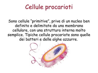 La cellula | PPT