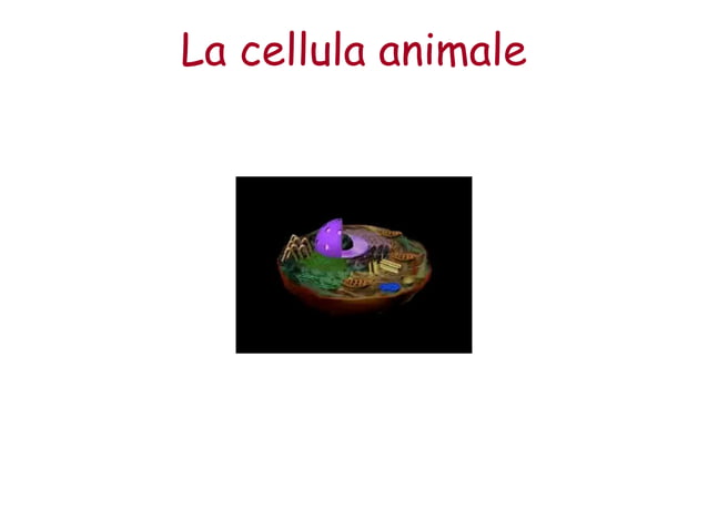La cellula | PPT
