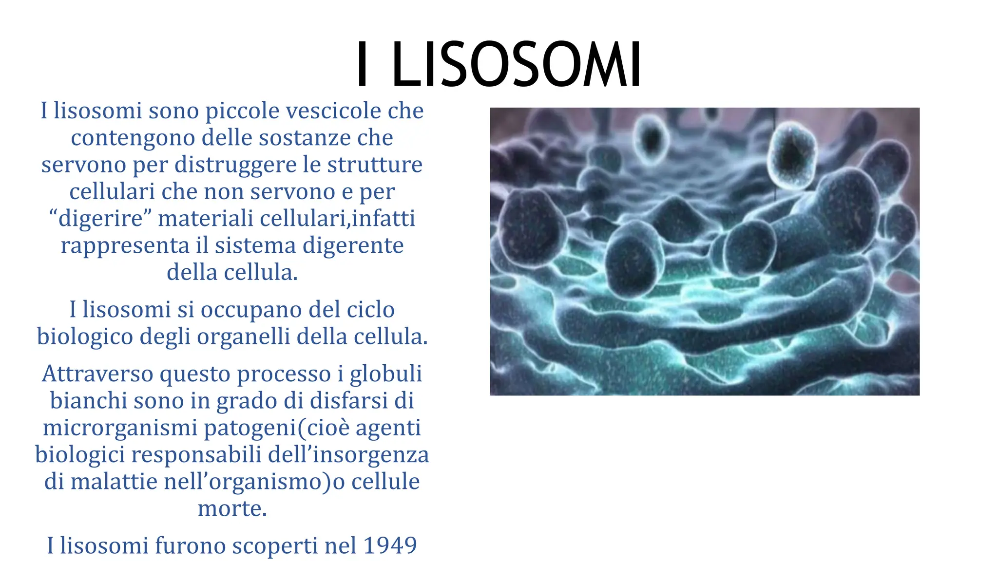 LA CELLULA.pptx