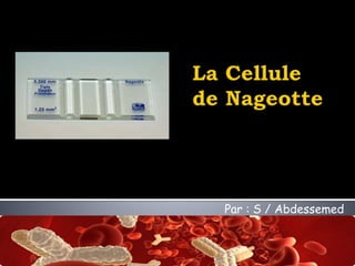 La cellule de nageotte | PPTX