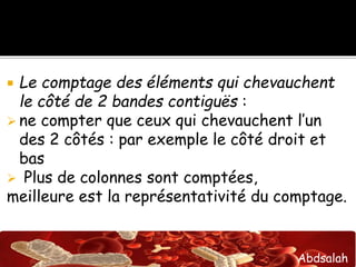 La cellule de nageotte | PPTX