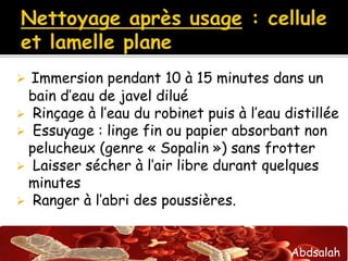 La cellule de nageotte | PPTX