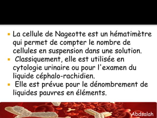 La cellule de nageotte | PPTX