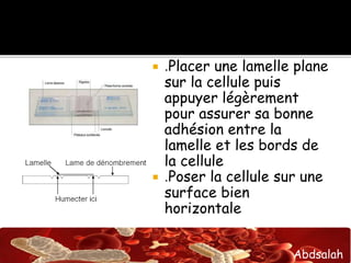 La cellule de nageotte | PPTX
