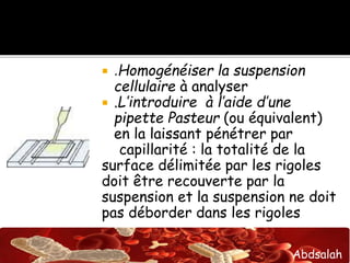 La cellule de nageotte | PPTX