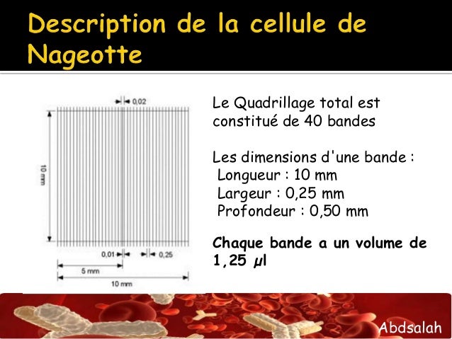 La cellule de nageotte