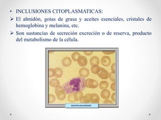 LA CELULA | PPTX