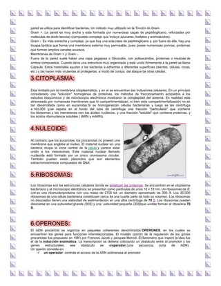 La celula | PDF