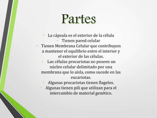 La celula | PPTX