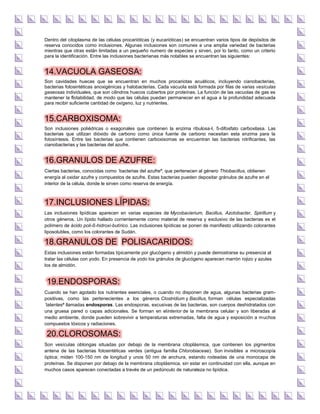 Lacelula biologia | DOCX