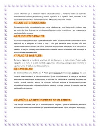 Lacelula biologia | DOCX