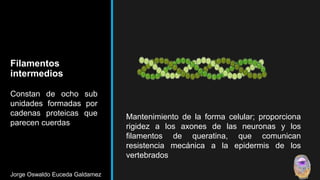 La célula y sus parte para colegio.pptx
