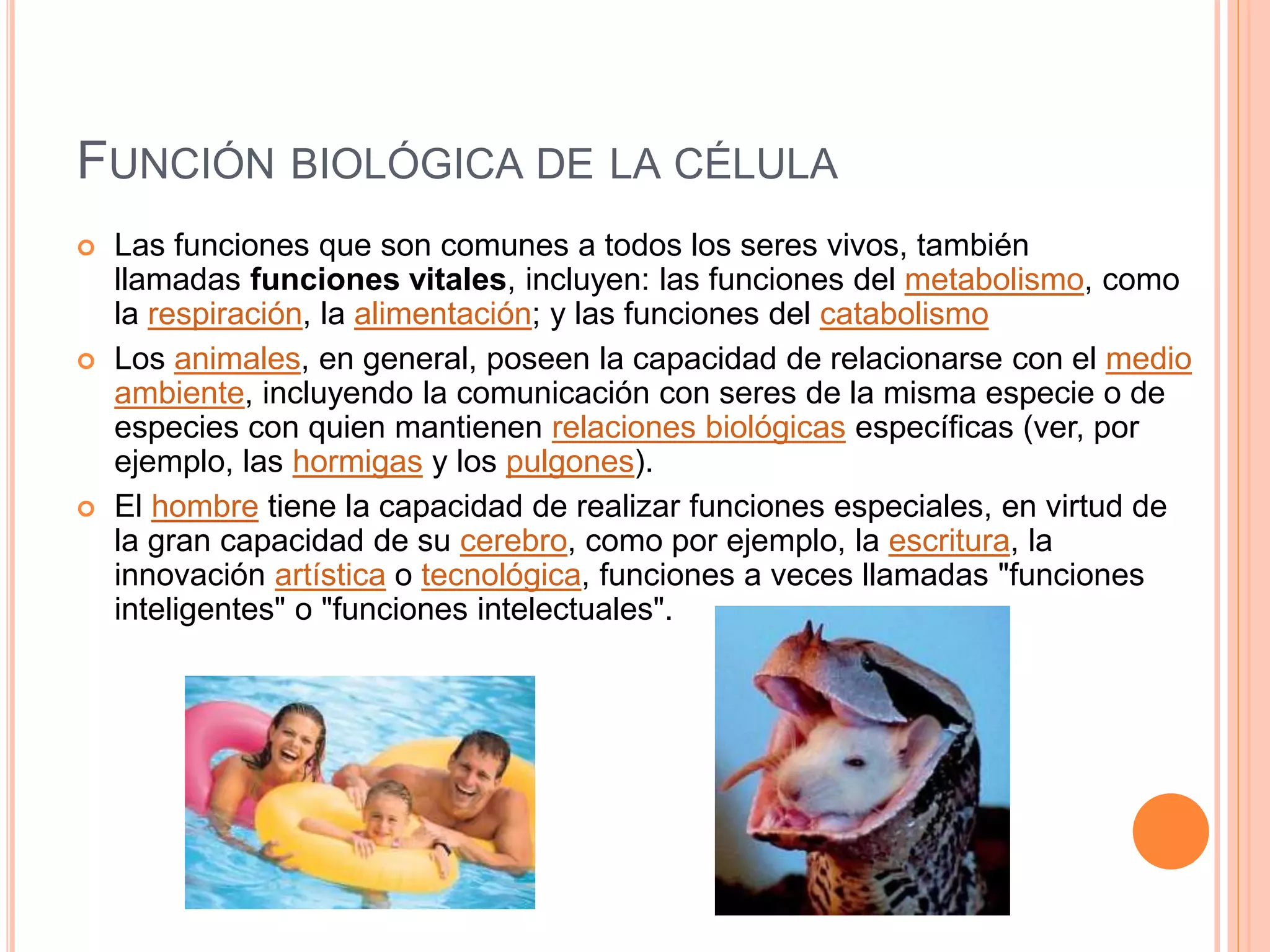 La célula su clasificacion | PPTX