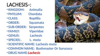 LACHESIS INGGLO INDIA. LEACING DOING SCIENCEpptx | PPTX